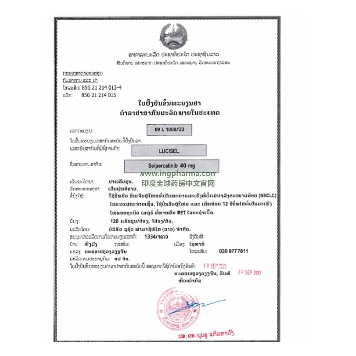 【塞尔帕替尼,赛尔帕替尼,塞普替尼,赛哌替尼,塞卡替尼,睿妥,Selpercatinib,Retsevmo,LuciSel】说明书_代购价格 ...